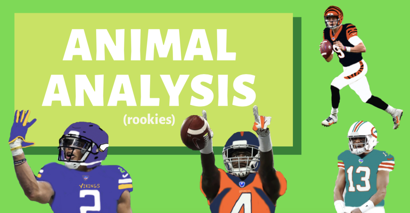 Animal Analysis - Animals Guide to the 2020 Rookie Draft – BDGE